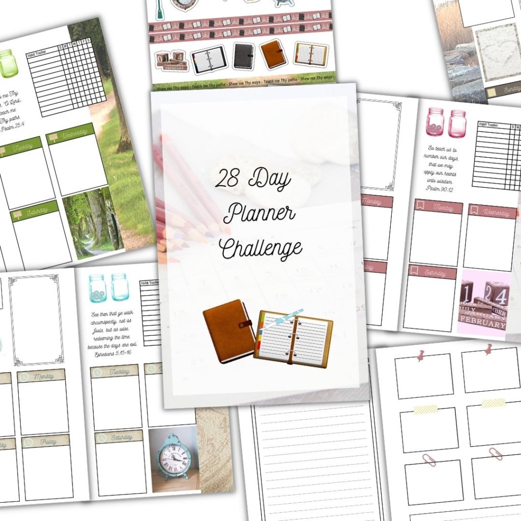 28 Day Planner Challenge - A Ruby in the Rough