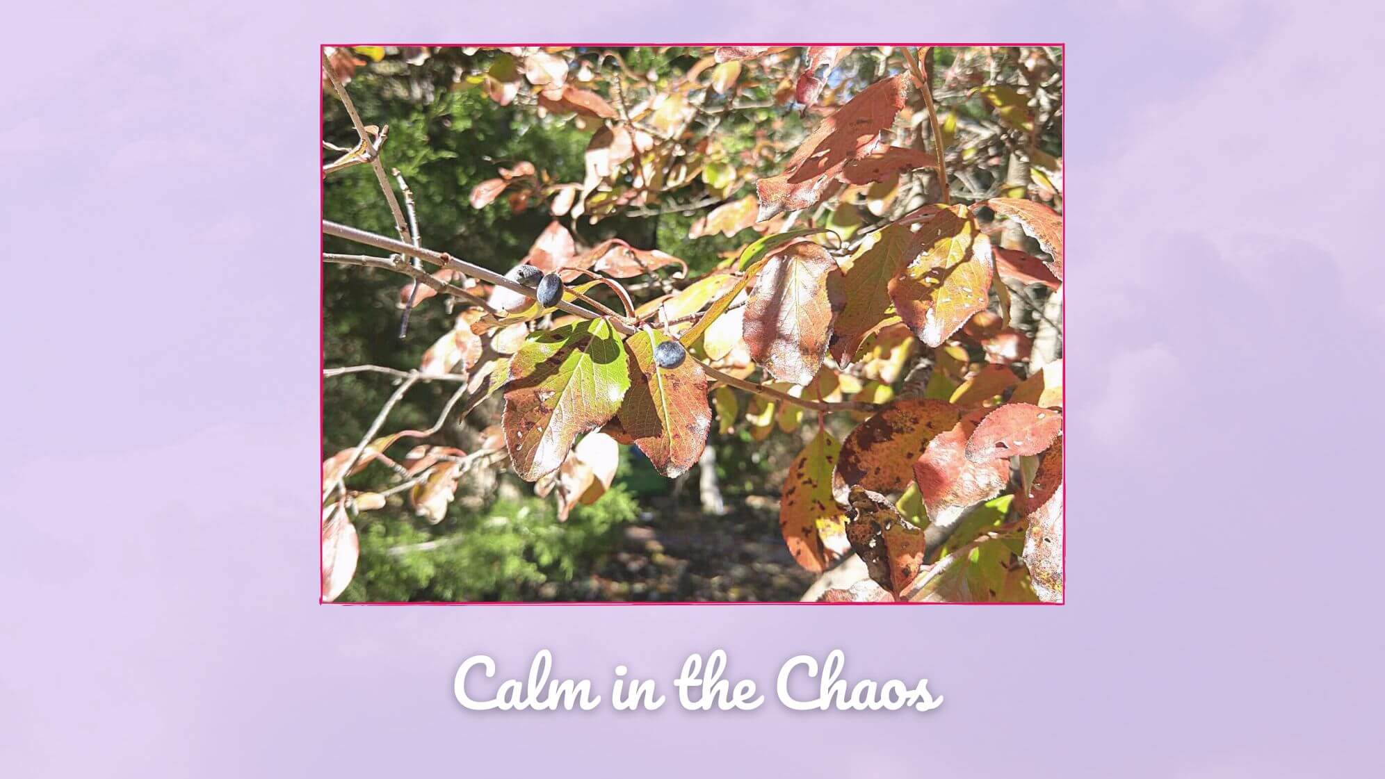 - A Ruby in the Rough