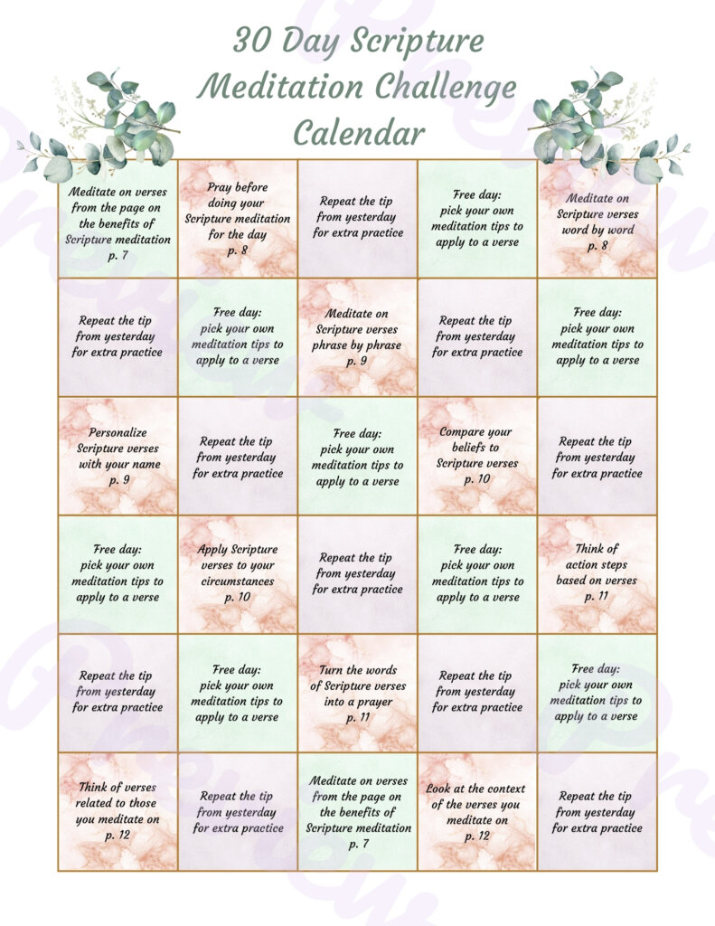 Scripture Meditation Ebook - A Ruby in the Rough